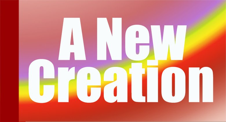 New Creation – eBook Author