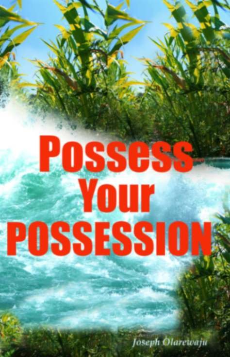 Practical Steps to Possess Your Possession – eBook Author